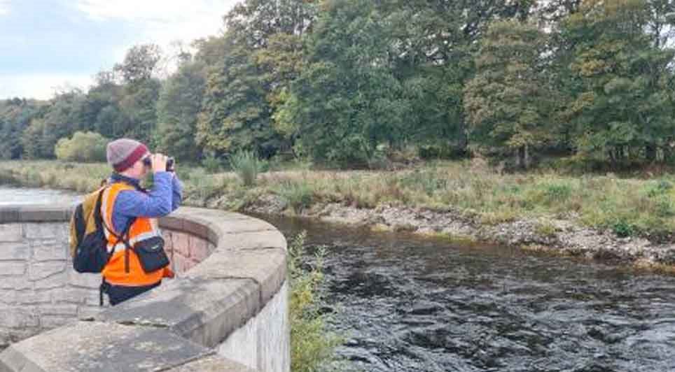 Spittal-Loch Buidhe-Beauly 400kV Overhead Line Report Published ...